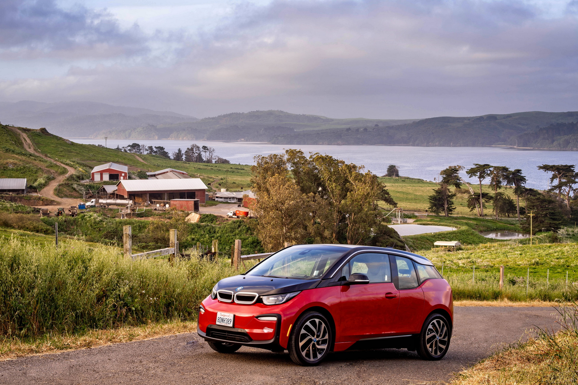 BMW Wants to Run EVs On Cow Poop - AUTOMOLOGY: automotive + logy (the ...